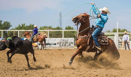 Shoeing Adjustments Help Yates’ Duke Return To Rodeo Action - The Team ...