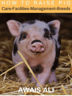Principles of Design Pigsty | PDF | Domestic Pig | Pig