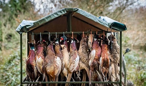 ‘A Step Forward For Game Meat’ - Shooting Times & Country | Everand