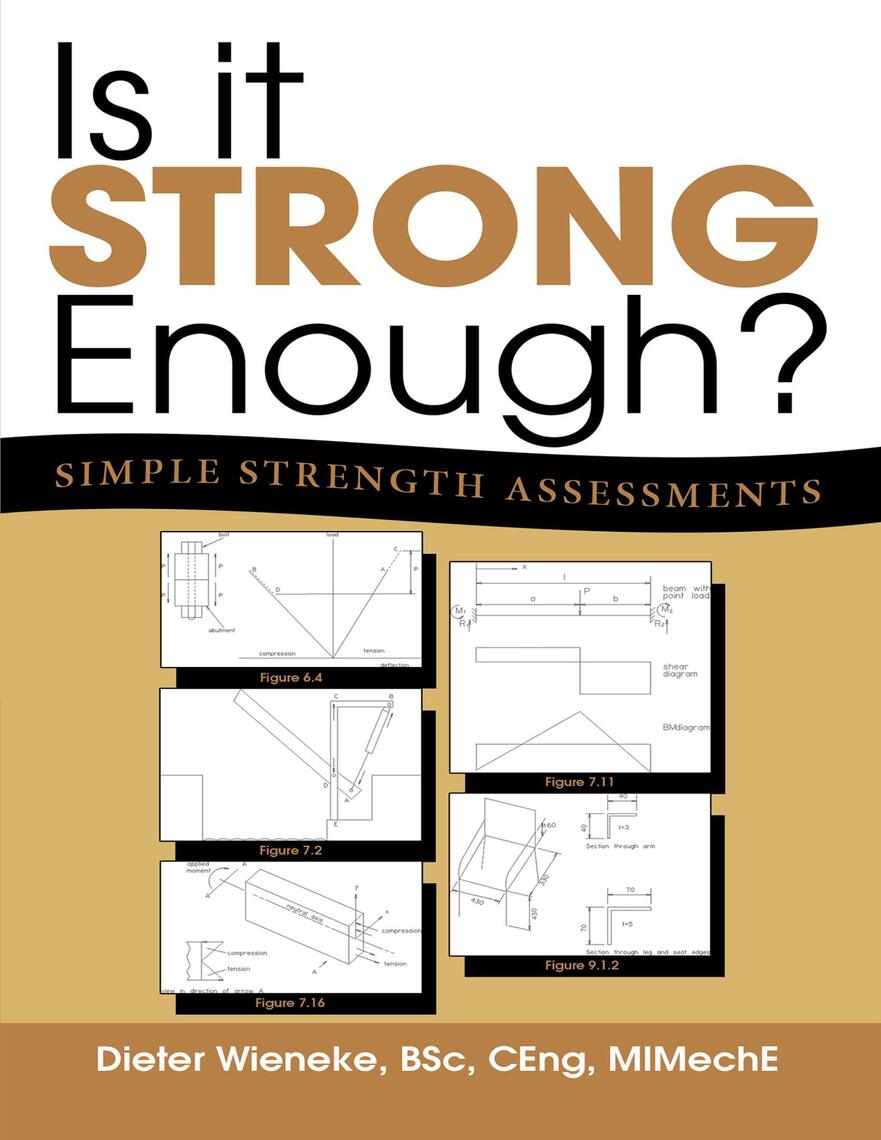 Is It Strong Enough?: Simple Strength Assessments by Dieter Wieneke ...