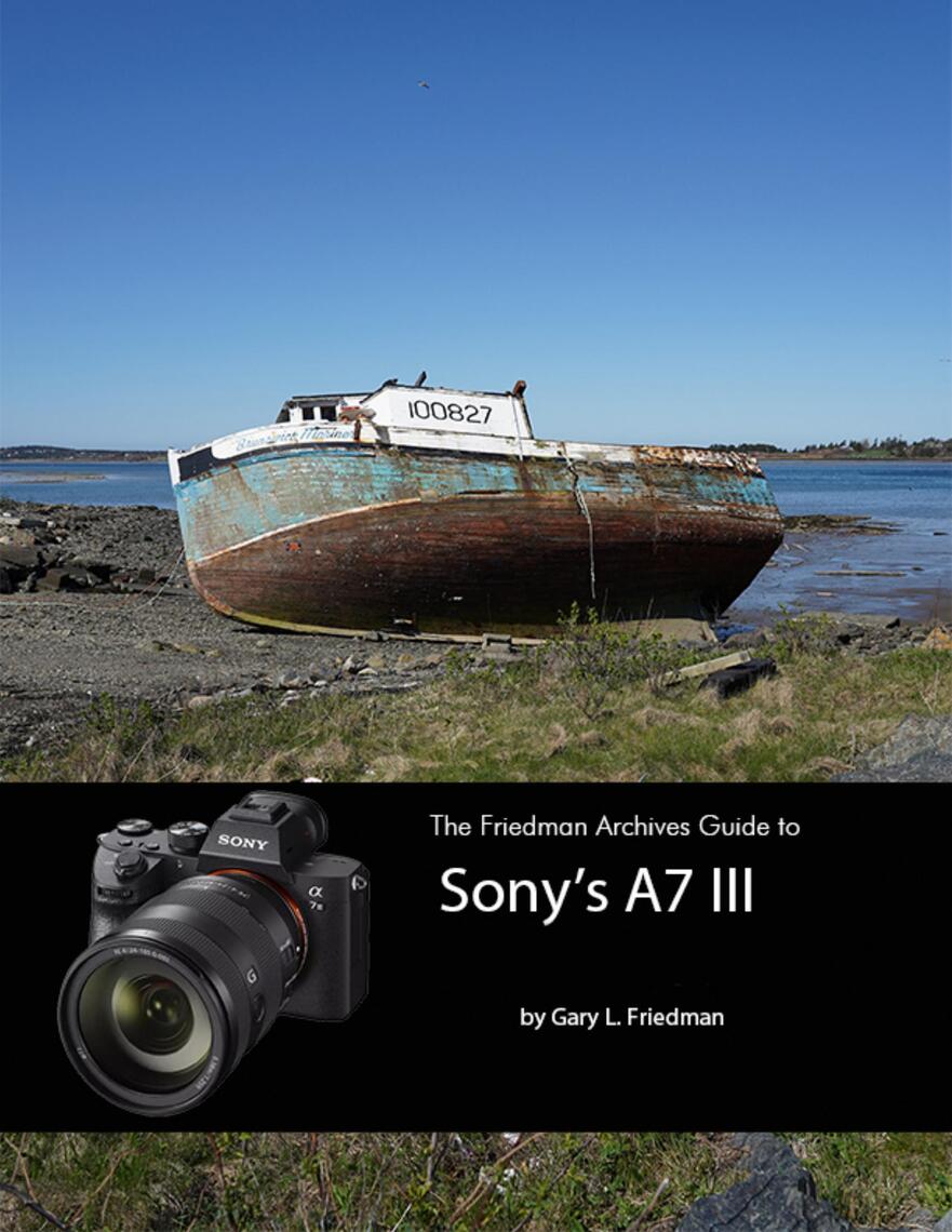 The Friedman Archives Guide to Sony's A7 III by Gary L. Friedman (Ebook ...