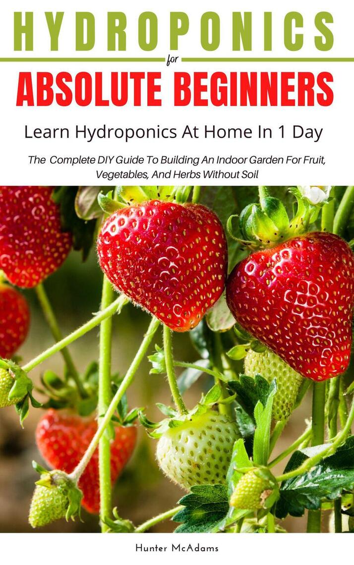 Hydroponics For Absolute Beginners (Learn Hydroponics At Home In One ...
