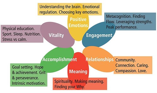 Seligman’s PERMA Model Of Flourishing - TRAIL | Scribd