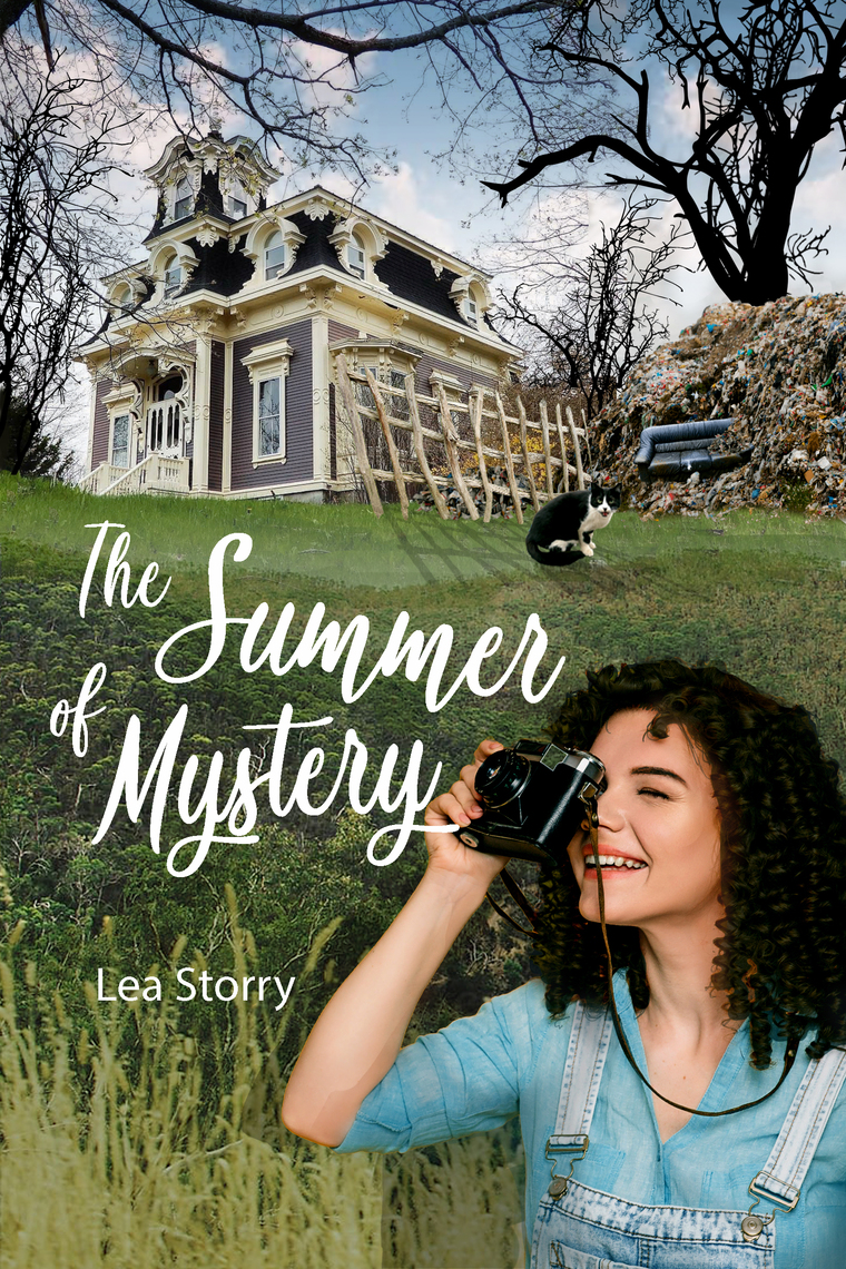 The Summer of Mystery: A Katie Brunswick Whodunit by Lea Storry (Ebook ...