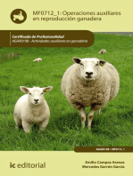 Caudectomia | PDF | Perros | Cirugía