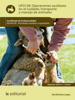 Caudectomia | PDF | Perros | Cirugía