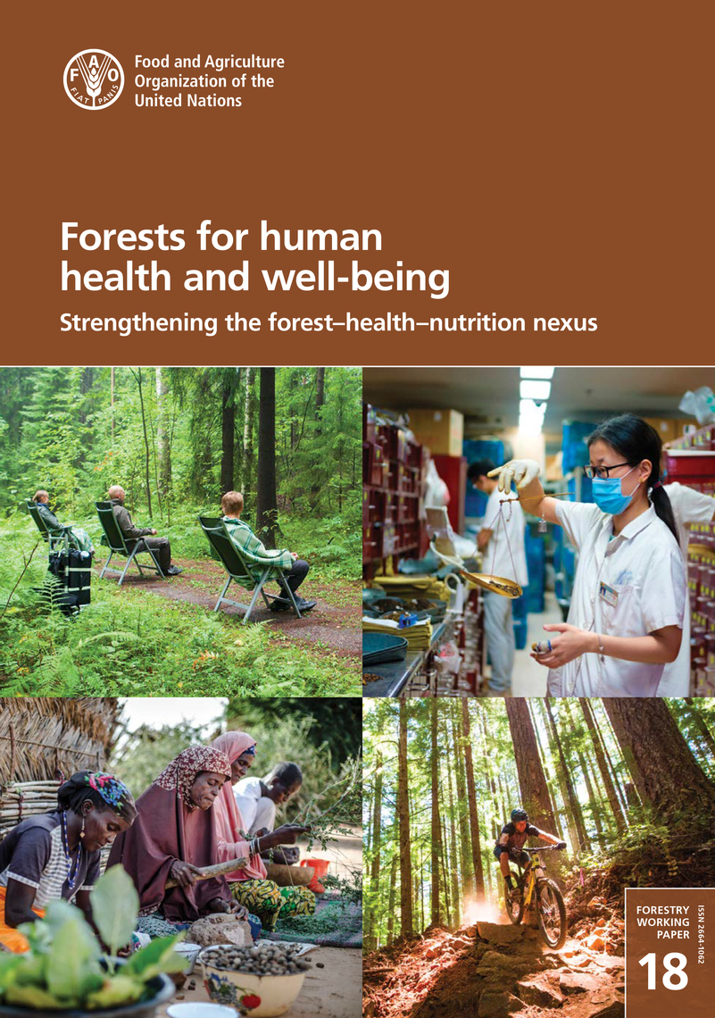 Forests for Human Health and Well-Being: Strengthening the Forest ...