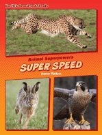 10 Fastest Animals in The World | PDF