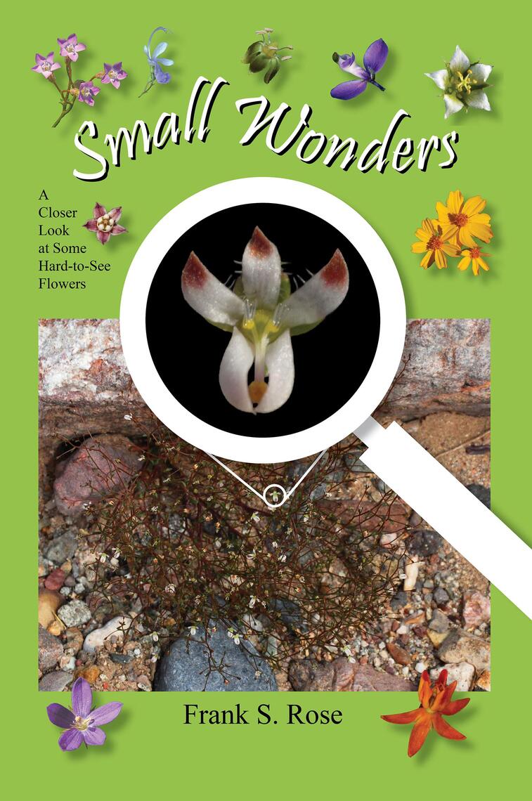 Small Wonders by Frank S Rose (Ebook) - Read free for 30 days