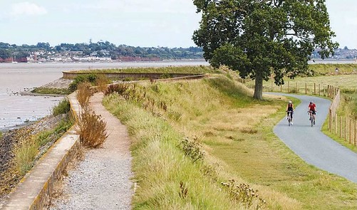 4 Exe Estuary Trail Devon - BBC Countryfile Magazine | Everand
