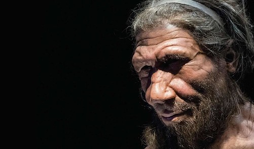 Neanderthals Could Talk Like Humans, Study Suggests - BBC Science Focus ...