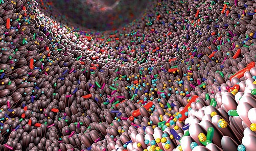 Un Arca De Noé En Tu Cuerpo - Muy Interesante México | Everand