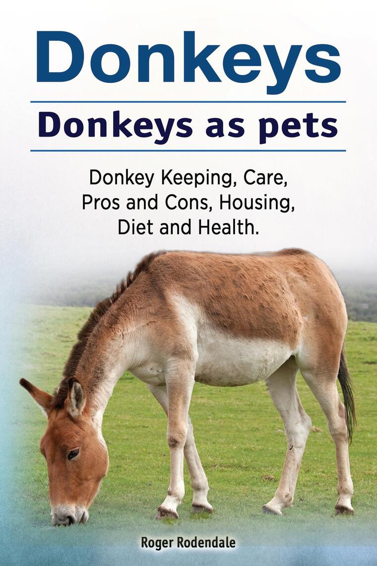 Donkeys. Donkeys as pets. Donkey Keeping, Care, Pros and Cons, Housing ...