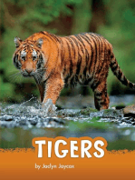 Animal Friends Timehri Readers Level 1A PDF | PDF | Domesticated ...