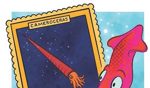 How The Squid Lost Its Shell - Ask Science and Arts Magazine for Kids ...