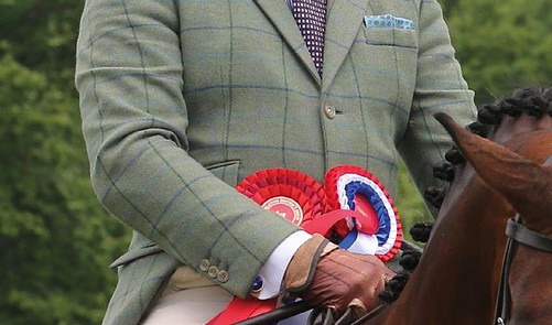 Magnus Nicholson - Horse & Hound | Everand