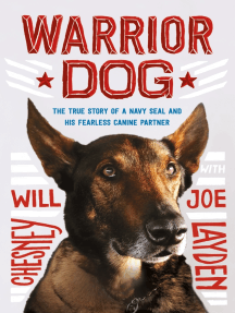 What Happened To Cairo The Dog