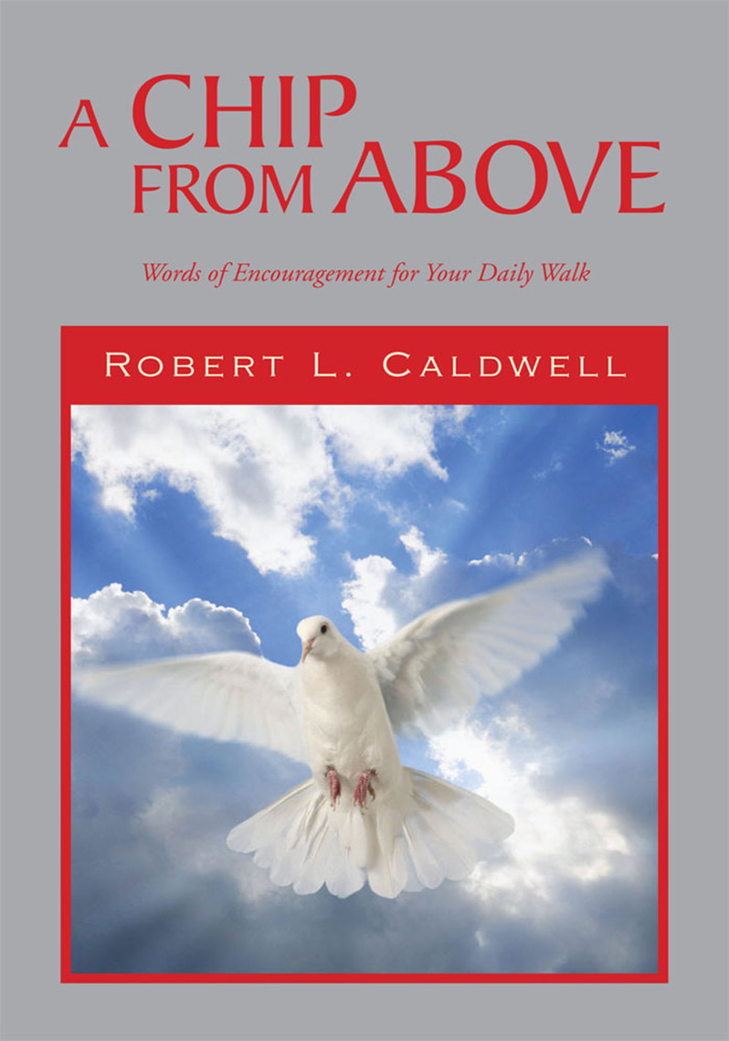 A Chip from Above by Robert L. Caldwell (Ebook) - Read free for 30 days