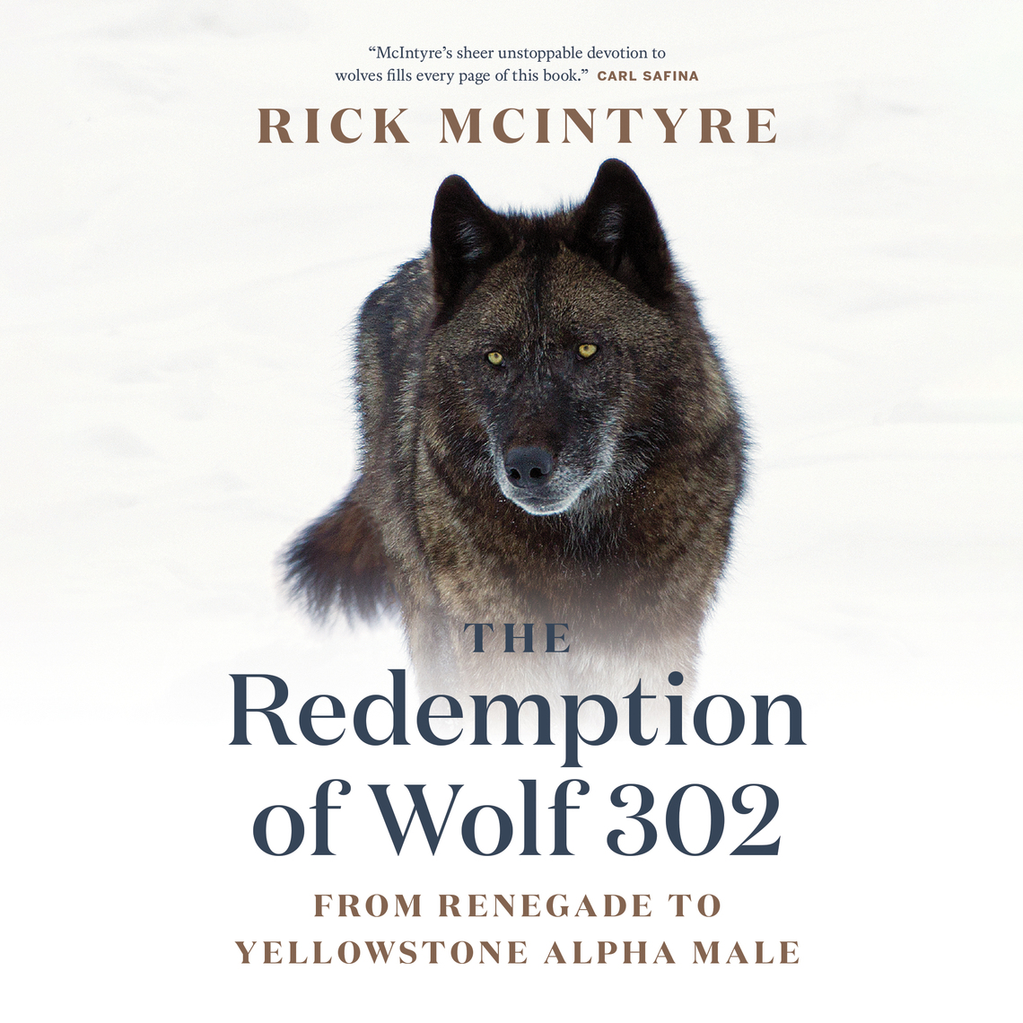 The Redemption of Wolf 302 by Rick McIntyre (Ebook) - Read free for 30 days