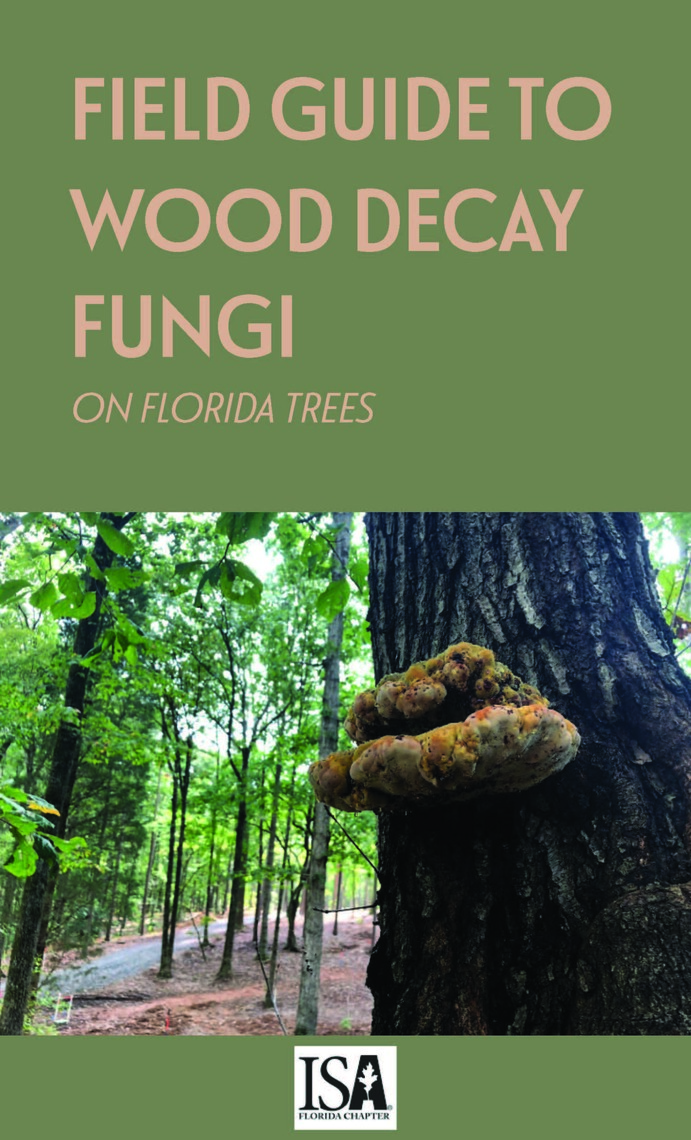 Field Guide to Wood Decay Fungi on Florida Trees by Jason Smith, Edward ...