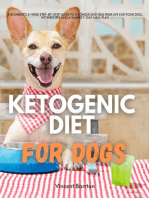 Pet Size o Meter Rabbit | PDF | Obesity | Dieting
