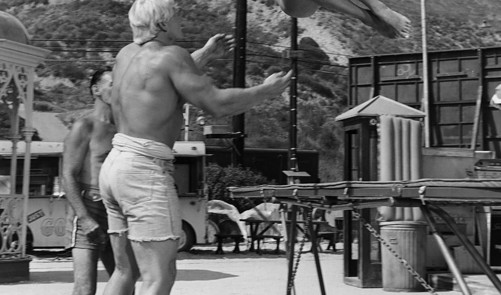 Dave Draper, Iconic American Bodybuilder, Dies At 79 - NPR | Everand