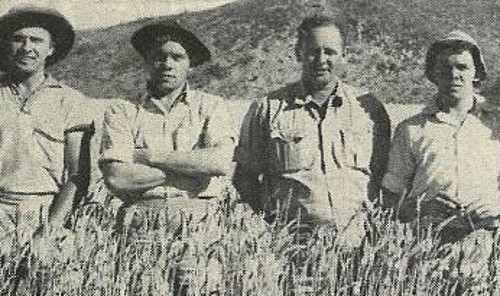 Van Toeka Se Tyd — 60 Jaar Gelede - Landbouweekblad | Everand