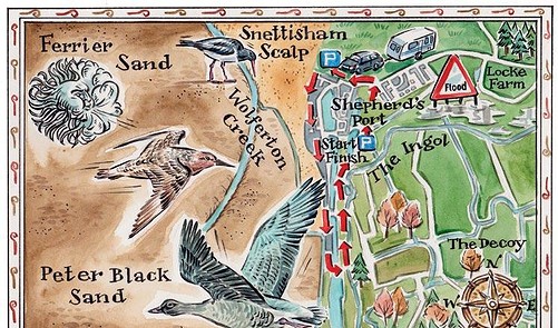 A Million Birds? It’s Normal For Norfolk - The Oldie | Everand