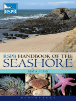 PANGINGISDA | PDF