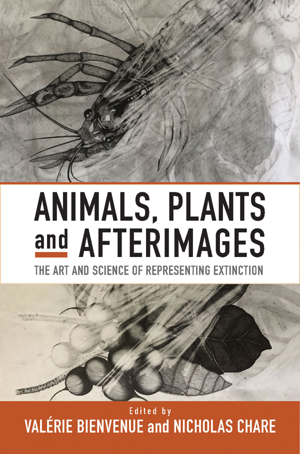 Animals, Plants and Afterimages by Valérie Bienvenue, Nicholas Chare ...