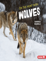 All Wolf Ranks - Powerful Wolves PDF | PDF | Pack (Canine)
