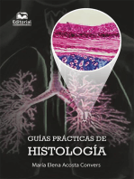Sustancia Fundamental Amorfa y Forme | PDF | Tejido conectivo | Histología