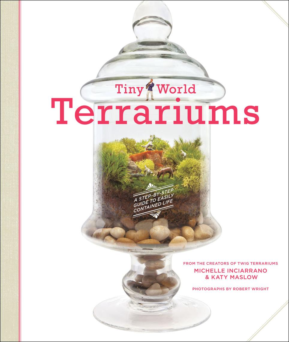 Tiny World Terrariums by Michelle Inciarrano, Katy Maslow - Ebook | Everand