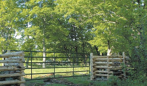 How to Build a Really Great Farm Gate - Harrowsmith | Everand