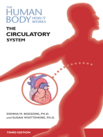 Blood and Circulation, iGCSE Biology | PDF | Circulatory System ...