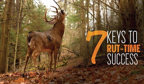 7 Keys To Rut-time Success - Deer & Deer Hunting | Everand