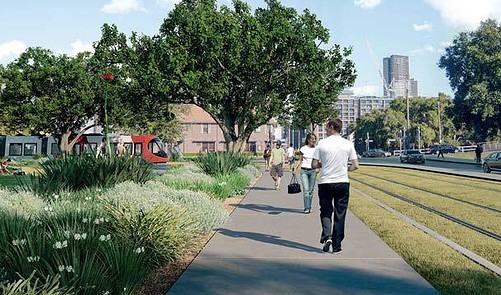 Green Track for Parramatta Light Rail Transport for NSW - Landscape ...