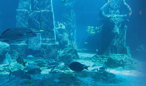 The Hunt For Atlantis - All About History | Everand