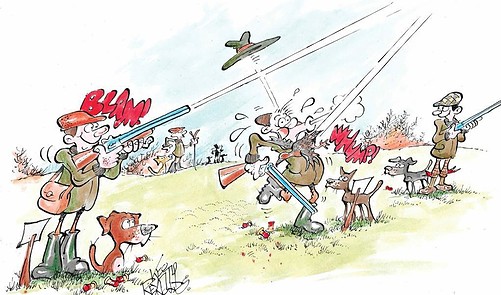 Remembering The Very Best Of Birds - Shooting Times & Country | Everand