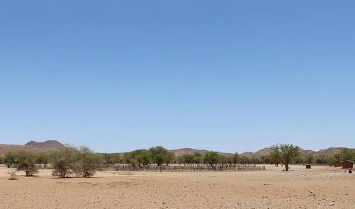 Hot Hunt for A Damara Springbok - Australian Hunter | Everand