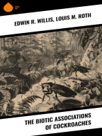 Amorphus Globosus Monster Buffalo | PDF | Fetus | Childbirth