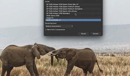 Processing Skills How To Prepare Pictures For A Photobook - Digital ...