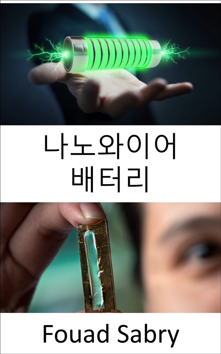 나노와이어 배터리 By Fouad Sabry Ebook Read Free For 30 Days