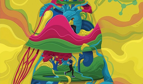 Hormones The Explainer - BBC Science Focus Magazine | Everand