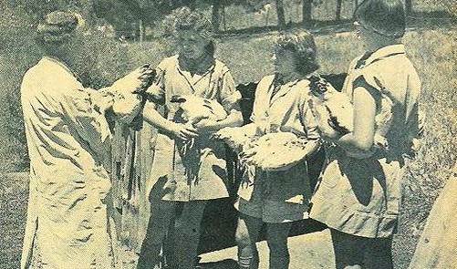 Boschetto: Al Die Boere Daar Is Vroue - Landbouweekblad | Everand