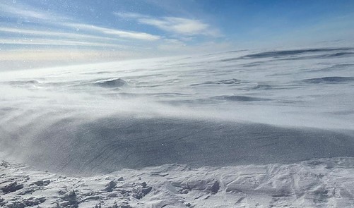 With Wholehearted Support From The Princess Of Wales captain ’polar ...