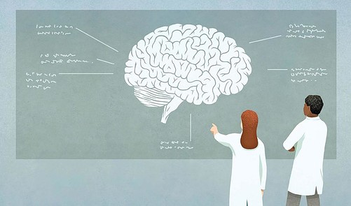 How To Conquer Your Primitive Brain - Newsweek International | Everand