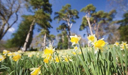 6 Of The Best… UK Spring Days Out - Chat | Everand