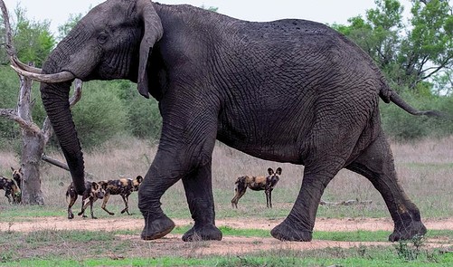 1 AUTUMN 2023 WINNER - Mohammed Hassen Varachia My favourite spot is ...