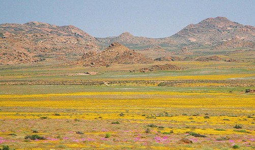 Grondpad Tussen Die ‘Daisies’ - Weg: Ry & Sleep | Everand